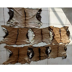 Real Antelope Goat Hide Fur Skin Pelt Fur Sheepskin Leather Fur Skin Clothing Accessories 1pcs (Approx 16"X20")