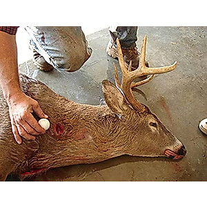 Fire-N-The-Hole Chisel Tip Ring Broadhead Compound Bow 100 Grain 3 Pack