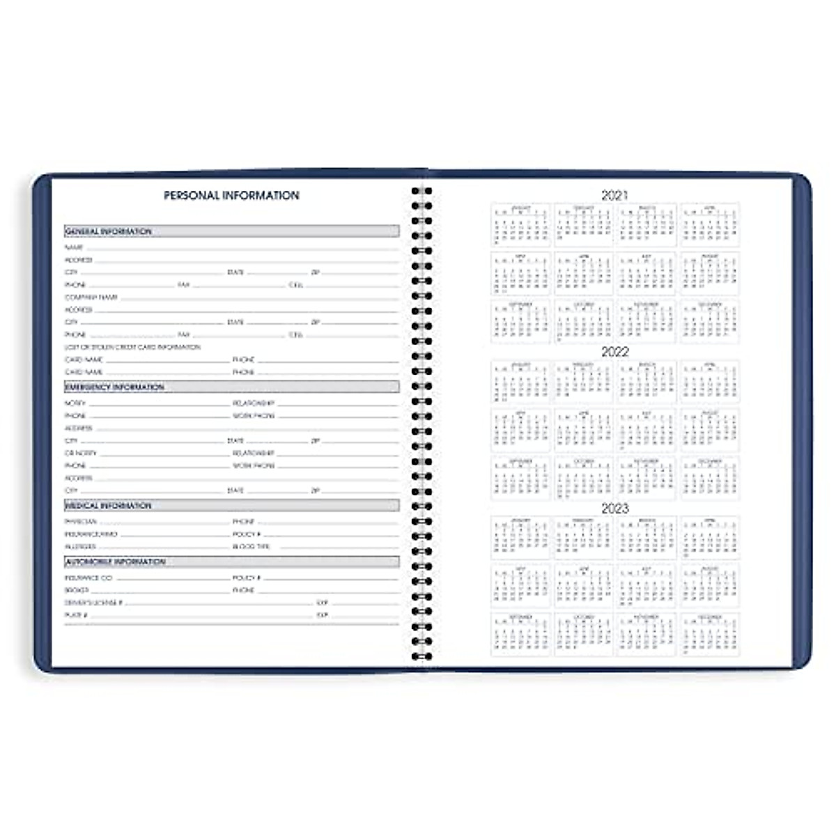 AT-A-GLANCE 2023 Weekly Planner, Quarter-Hourly Appointment Book, 8-1/4" x 11", Large, Fashion Color, Blue (7094020)