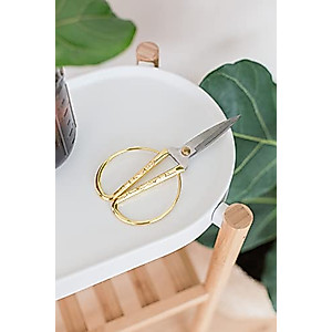 Premium Houseplant Scissors and Pruning Shears - Comfortable Grip Garden and Plant Clippers, Trimmers, Loppers, Flower Cutters, Made from 100% Stainless Steel