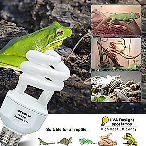 BOEESPAT UVB Reptile Light 10.0, 23W Desert UVA UVB Bulb for Reptiles, Compact Desert Terrarium Lamp, Reptile UVB Light Bulb for Bearded Dragon, Lizard, Tortoise, Snake, Gecko