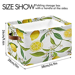 ALAZA Decorative Basket Rectangular Storage Bin, Lemon Floral Organizer Basket with Leather Handles for Home Office