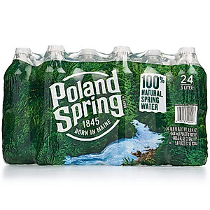 Poland Spring Natural Mineral Water 16.9 oz. 24 pk. (2 cases)