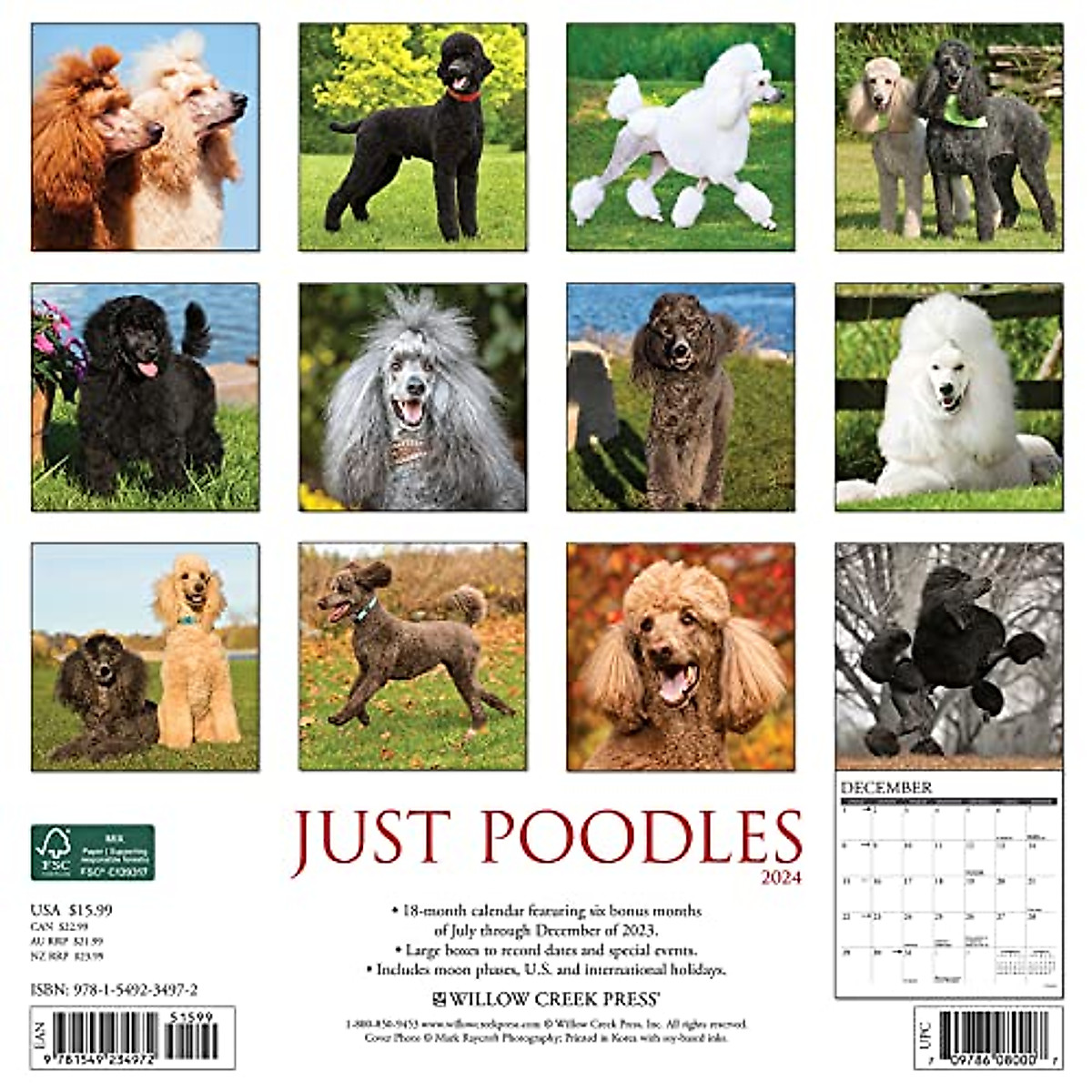 Willow Creek Press Poodles Monthly 2024 Wall Calendar (12" x 12")