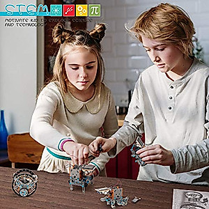 14-in-1 Solar Robot Kit, Educational STEM Science Toy, DIY Solar Power Building Kit, Gift for Kids Boys Girls 8 9 10 11 12 Years Old