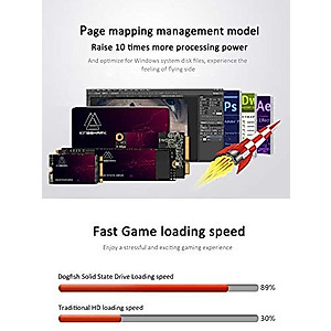 Kingshark M.2 2242 SSD 512GB Ngff Internal Solid State Drive High-Performance Hard Drive for Desktop Laptop SATA III 6Gb/s Includes SSD (512GB, M.2 2242)