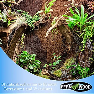 Fernwood Vivarium and Terrarium Background Panels- Made from New Zealand Tree Fern | Natural and Fibrous | for Reptile Tank Backgrounds and Vivarium Backgrounds| 12x6x.06