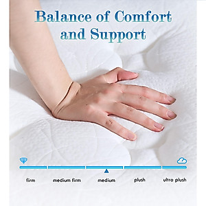 Wellynap Twin Mattress,10 Inch Twin Size Mattress,Hybrid Mattress Twin in a Box,Individually Pocketed Innerspring,Fiberglass-Free Mattress,Medium Firm120 Nights Risk-Free Trial