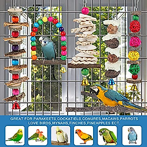 Bird Perch Bird Toys Parakeet Toys,6 Pack Bird Cage Accessories Wooden Chew Toys Perch Stand for Parrot Conure Cockatiel Lovebird Parrotlet Budgie Finches and Other Small to Medium Sized Birds