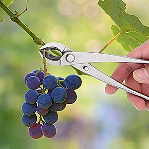 Qinlorgo Bonsai Branch Cutter Ergonomic Long Handle Resistant to Rust Garden Scissor Stainless Steel for Outdoor