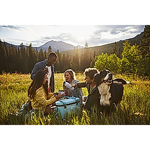 Hydro Flask Wine Tumbler & Bottle - Insulated Alcohol Travel Cup