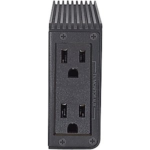 APC C2 2-Outlet C-Type A/V Wall-Mount Power Filter