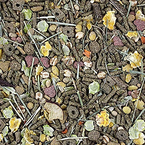 Vitakraft Vita Smart Guinea Pig Food - Complete Nutrition - Premium Fortified Blend with Timothy Hay for Guinea Pigs, 8 Pound (Pack of 1)