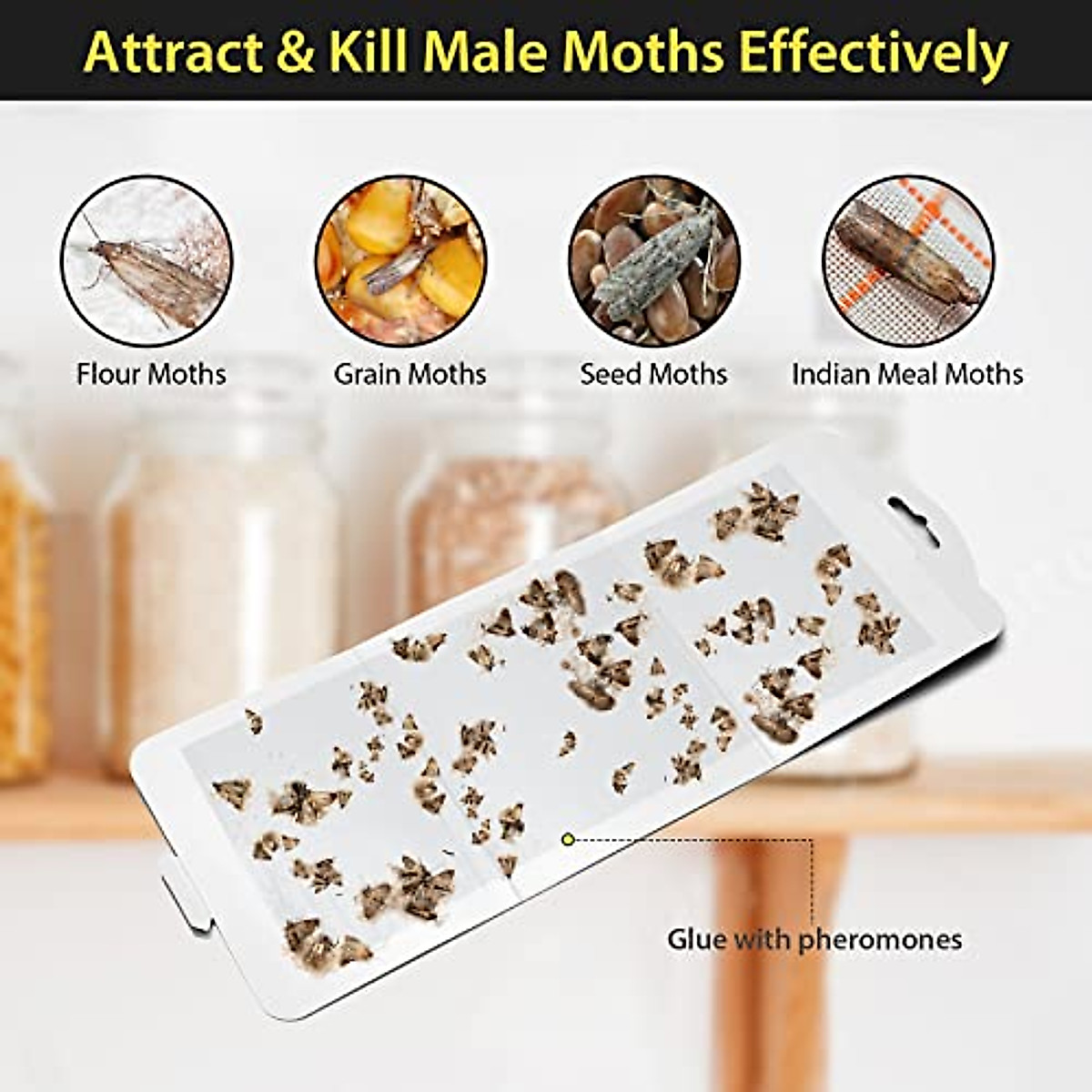 TRAP IT! Pantry Moth Traps, 10 Pack Sticky Glue Trap Indoor with Pheromones to Attract and Kill Grain Flour Seed Meal Moths, Non-Toxic Pantry Pest Killer for House Food and Cupboard Moth Control