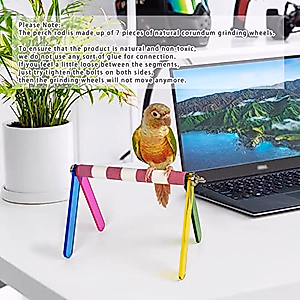 Parrot Play Stand Portable Bird Training Perch Rough-surfaced Corundum and Stainless Steel 8" (Red)