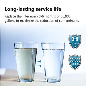 Waterspecialist FXHTC Whole House Carbon Water Filter, Replacement for GE FXHTC, GXWH40L, GXWH35F, Culligan RFC-BBSA, American Plumber W10-PR, W10-BC, WRC25HD, 10" x 4.5", 5 Micron, Pack of 2