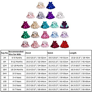 Toddler Baby Flower Girl Princess Lace Dress First Baptism Communion Bowknot Formal Embroidery Tutu Gown Elegant Wedding Bridesmaid Birthday Party Dresses Up with Headwear White 6-9 Months