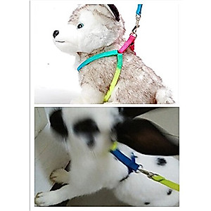 Rabbit Harness Lead Leash Soft Nylon, Adorable Colorful Rainbow Adjustable Harness Collar, Outdoor Walking Buckle Leash