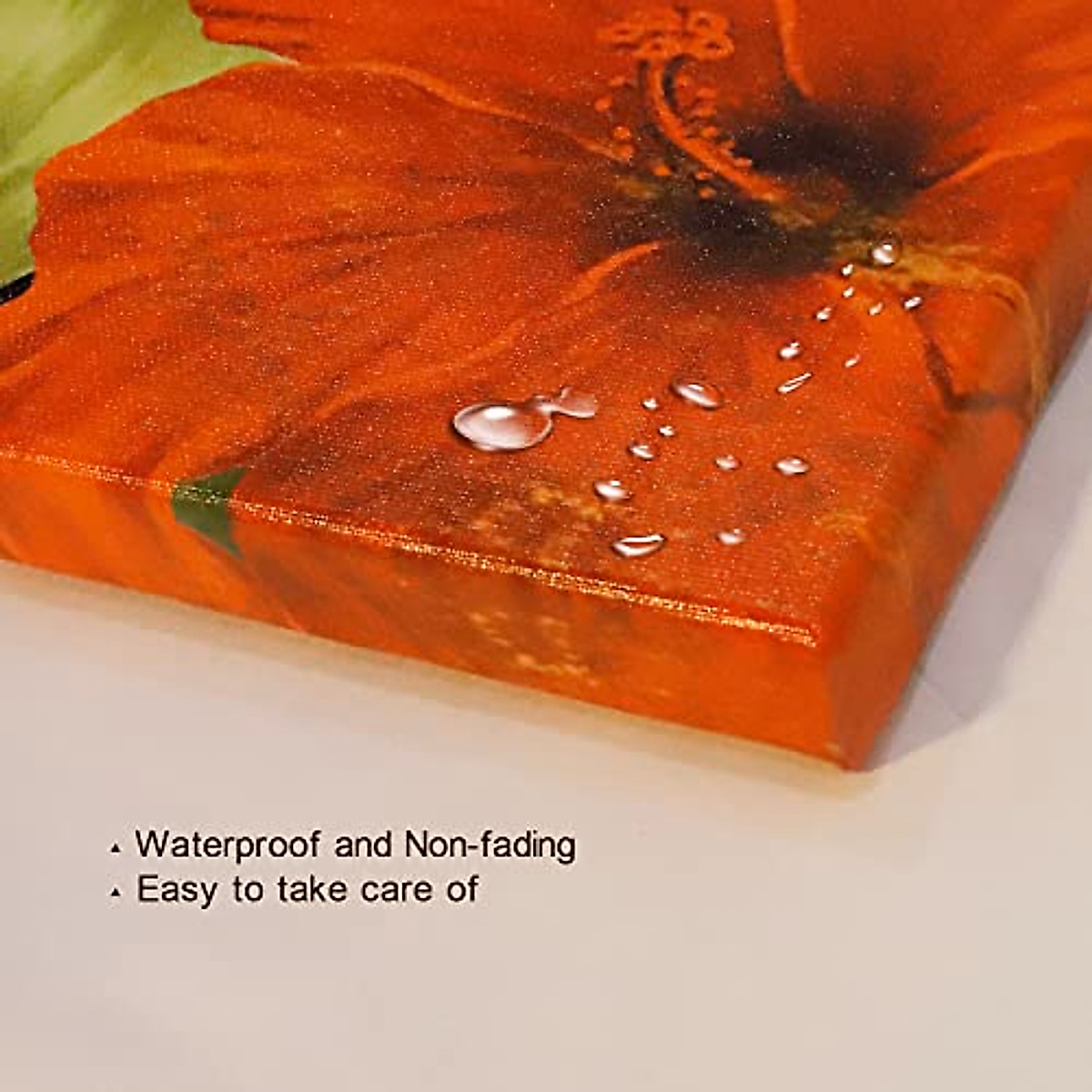 Saypeacher Mindset is Everything Canvas Painting Wall Art Motivational Entrepreneur Posters Inspirational Lion Prints Framed Artwork for Office Gym Decor Ready to Hang (12"x16"x3pcs)