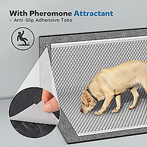 MIZOK Pee Pads for Dogs Large 28x34 Inches, Charcoal Puppy Pads New & Improved Odor-Control Absorbs Up to 8 Cups of Urine Dog Pee Pads, 6-Layer Leak-Proof Wee Wee Pads for Dogs (40 Counts)