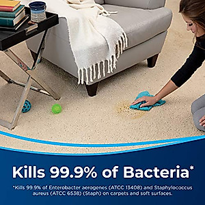 BISSELL Pet Pretreat + Sanitize Stain, 2 pack, 11299, 22 Fluid Ounces (Packaging may vary)