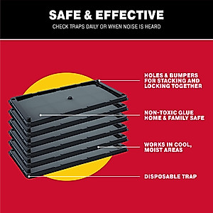 Catchmaster Mouse & Pest Glue Board Bundle, 36 Unscented Glue Boards & 6 Pack Large Glue Traps, Rat & Mouse Traps Indoor for Home, Pest Control