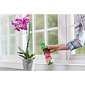 Scotts Miracle-GRO Orchid Plant Food Mist (Orchid Fertilizer), 8 oz. (6 Pack)