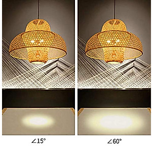 Adjustable Light Beam PAR20 PAR16 LED Spot Light Bulb 15°-60° Multi Angle Ceiling Recessed Lamp I 12W Down Light for Restaurants Display Gallery - Warm White