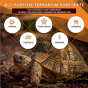 ReptiCasa Compressed Coconut Fiber Substrate, 1.4 lb. Bricks, Natural Husk Terrarium Bedding, Reptiles, Frogs, Snakes, or Tortoise, Odor and Waste Absorbent Compostable, 5 Pack