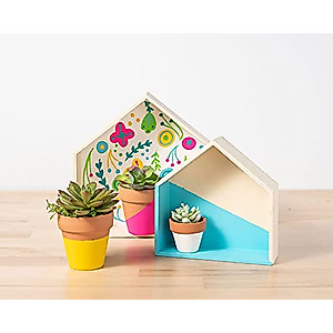 FolkArt Set, Outdoor Basics Set of 6 2 fl oz / 59 ml Brilliant Gloss Acrylic Paints for Easy to Apply DIY Crafts, Art Supplies with A Glossy Finish, 7537, (Pack of 6), Multiple Color 12