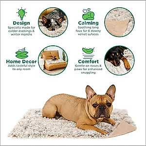 Furhaven Waterproof Throw Blanket for Dogs & Indoor Cats, Washable - Shaggy Plush Calming Long Faux Fur & Velvet Dog Blanket - Driftwood, Extra Large/XL