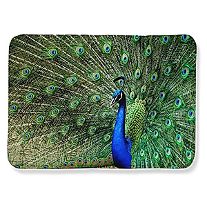 Peacock Decor Rugs Beautiful Fantastic Peacock Carpet, Modern Style Living Room Home Decoration Carpet, Suitable for Living Room Bedroom Kitchen Dining Room Non-Slip Washable 16"x24"