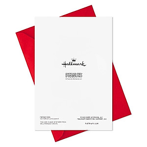 Hallmark Peanuts Boxed Christmas Cards Assortment, Classic Comics (4 Designs, 16 Cards and Envelopes)