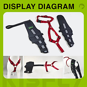 KISFLY Rear Leg Braces for Dogs Luxating Patella Joint Pain Dog Knee Brace for Torn ACL Hind Leg with Reflective Support Strip Both Legs L