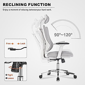 BV Dual Backrests Ergonomic Office Chair, Lumbar Support Office Desk Chair Back Support, Breathable mesh Office Chair 3D Adjustable Armrest (Grey)