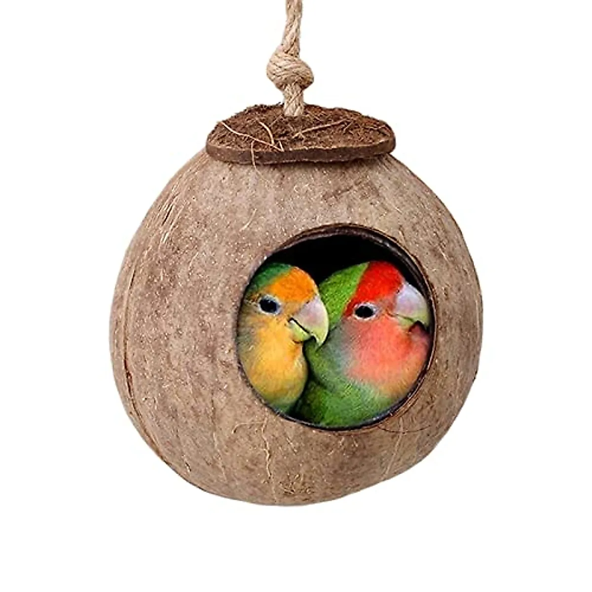 TATBUL Pets Hammocks Bird's Nest Natural Coconut Shell Small Pet Bird Parrot Cage Bird's Nest Hut Round Bed Hammock Aviary