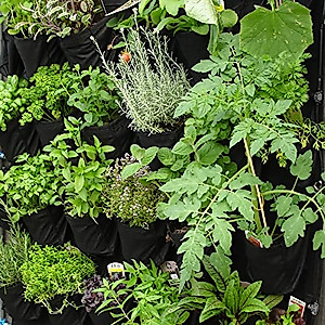 Artilife Vertical Wall Hanging Planters with 36 Pockets Outdoor Large Grow Bags for Herbs, Succulents, Artificial Plants or Flowers, Great for Garden and Patio Decoration