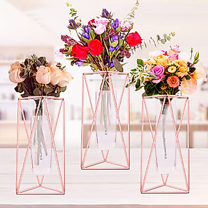 Test Tube Vases for Flowers, Glass vase with Metal Stand, Hydroponics Clear Planter Metal Glass Vase Hinged Art Vase Plant Holder Flower Vase for Modern Home Office Garden Wedding Decor(Rose Gold)