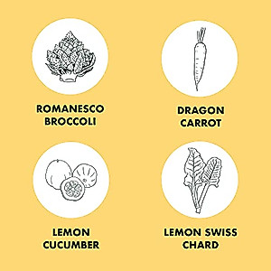 Indoor Vegetable Garden Starter Kit with Exotic Vegetable Seeds- 4 Non-GMO Heirloom Seeds for Planting, Soil, Pots, Plant Markers, Trimmers, Wood Planter Box, DIY Veggie Growing Kit, Gardening Gifts