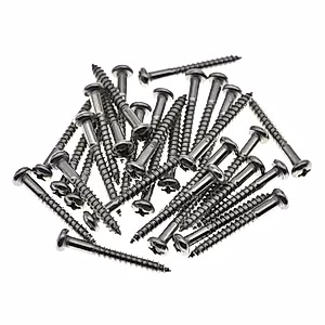 Dopro 30-Pack Stainless Steel Phillips Head Vintage-Style Guitar Tremolo Bridge Mounting Screws for Vintage FD Strat/Stratocaster