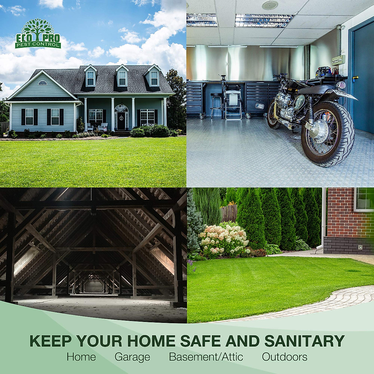 Mouse Trap by Eco Pro Pest Control | 6-Pack Reusable Small Rodent Traps | Indoor & Outdoor Mouse Traps | Easy Set Up, Quick Snap Kill Mice Traps (Bait Not Included) | Powerful Pest Control Traps