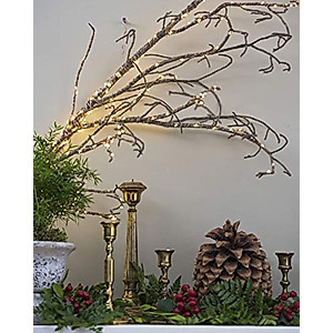 String Lights, PERFECTDAY 200 LED 66 FT Copper Fairy String Lights Warm White Waterproof USB Powered String Light for Indoor Outdoor Party Decoration