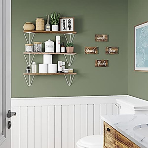 Wallniture Colmar Floating Shelves for Wall Decor, Wall Bookshelf Living Room Decor Bathroom Organizer Wall Shelves for Bedroom & Kitchen Organization Burnt 24" Set of 3