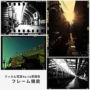 BONZART ZIEGEL (Rose)