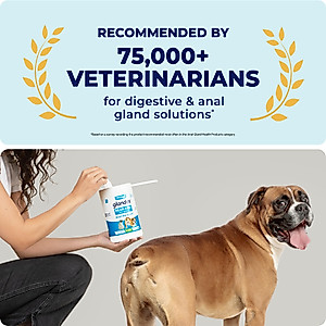 Vetnique Labs Glandex Dog Wipes for Pets Cleansing & Deodorizing Anal Gland Hygienic Dog & Cat Wipes with Vitamin E, Skin Conditioners and Aloe (100ct Pouch)