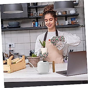 FUNOMOCYA Plant Watering Pot Watering Kettle Succulent Tools Upholstery Tools Stainless Steel Spray Bottle Plant Watering Kettle Metal Watering Can Gardening Watering Can Watering Can Vase