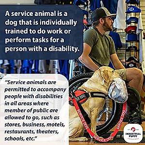 Red Service Dog Leash Wrap with Neoprene Handle and Reflective Service Dog Lettering - Supplies or Accessories for Service Dog Vest or Harness - Available in Red, Black, and Pink (Red, Service Dog)