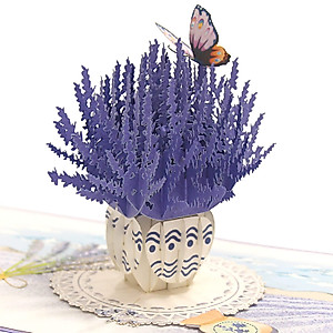 CUTE POPUP - Lavender Pop Up Card, Birthday Card for Women, Anniversary Card, Mother's Day Card, Thinking Of You, Thank You Pop Card, Wedding Card for Couple, Wife, Her on any Occasion
