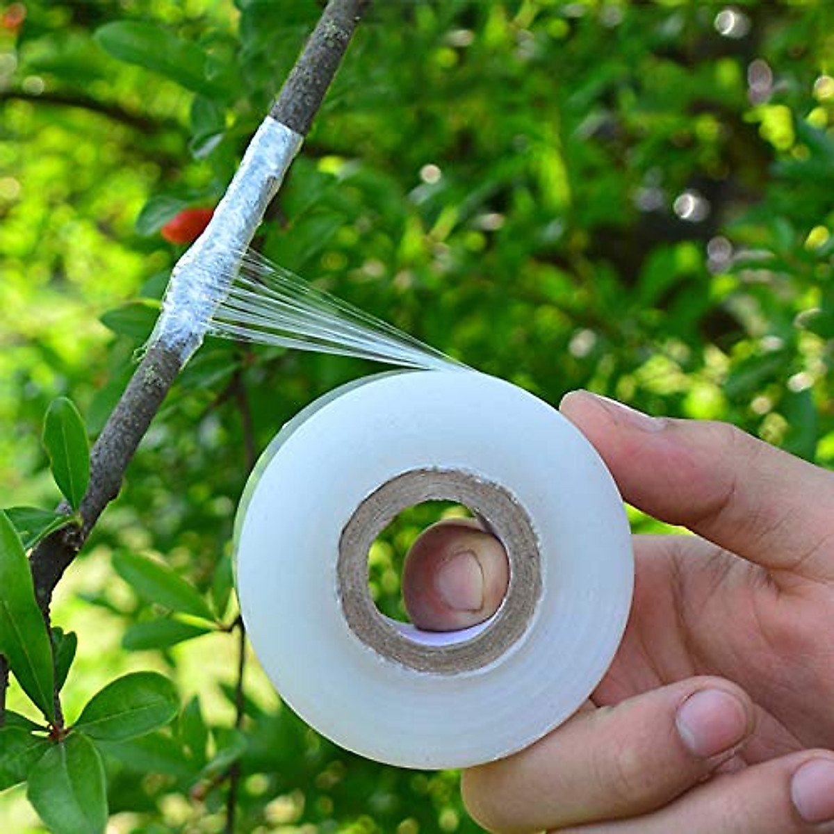 Nursery Grafting Tape Stretchable BIO-degradable 3cm x 100M