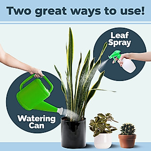 Succulent Plant Food for Succulents, Cactus, Jade and Aloe, Liquid Houseplant Fertilizer 8 oz (250mL)